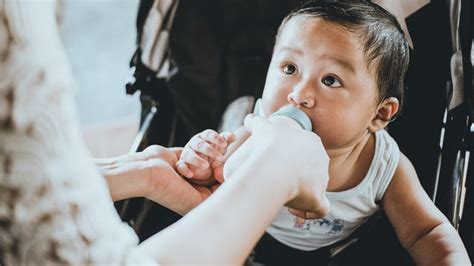 Sampling Approach Impacts Effectiveness On Infant Formula Safety