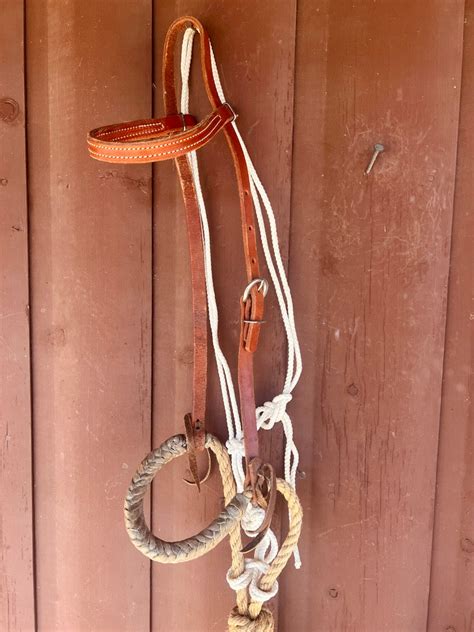 Rawhide Braided Loping Hackamore With Braided Grass Reins Jlm The Store