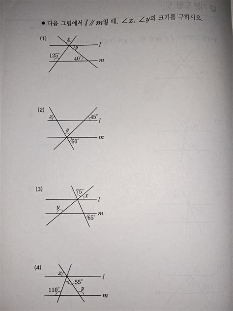 중학교 수학 문제 ~ 지식in