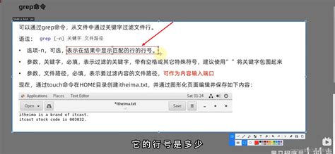 Grep Wc 管道符 Grep N 关键字 文件路径grep N “code“ Testtxtgrep N “code Grep Wc 管道符 Grep N 关键字 文件路径grep N “code“ Testtxtgrep N “code