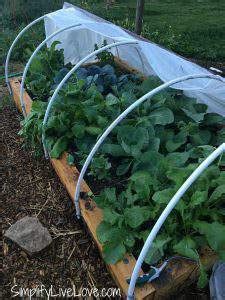 How To Cover A Raised Garden Bed To Extend Your Growing Season Simplify Live Love
