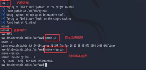 《网络攻击与防御》 linux攻击实验（4） metasploit攻击linux csdn博客
