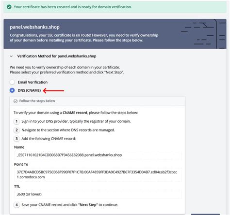 Make A Free Email Server With Multiple Domains Using Aapanel Racknerd And Cloudflare