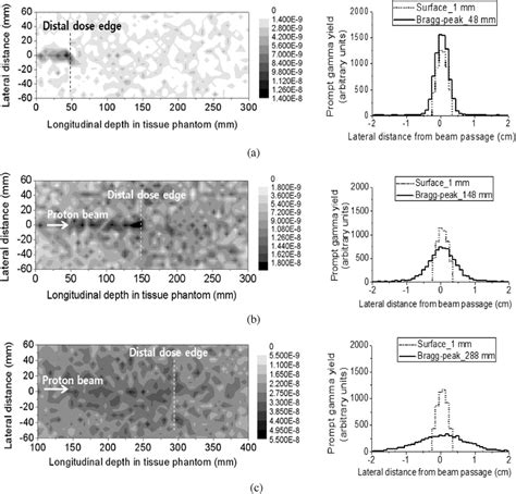 Prompt Gamma Distribution Measured With 2 D Detection System ~left And Download Scientific