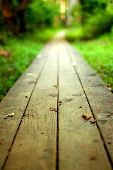 Pathway Wallpapers Top Free Pathway Backgrounds Wallpaperaccess