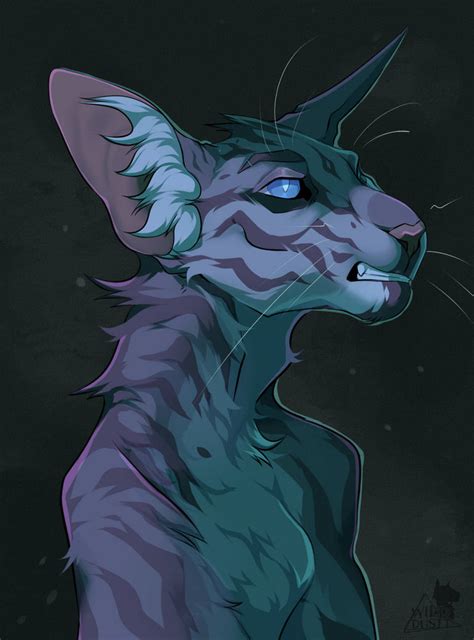 Jayfeather By Wilddustt On Deviantart