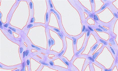老王研究所 · 专注科研工具与教程分享