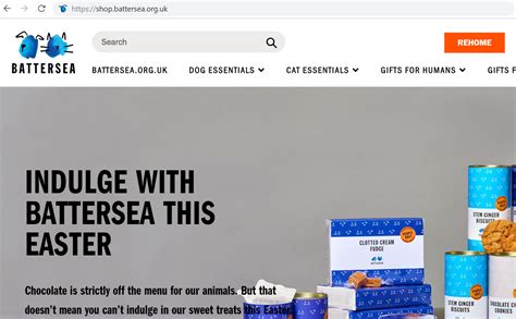 How Does Using A Subdomain Impact Seo Performance Swanky