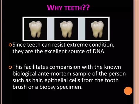 Sex Determination In Forensic Pptx