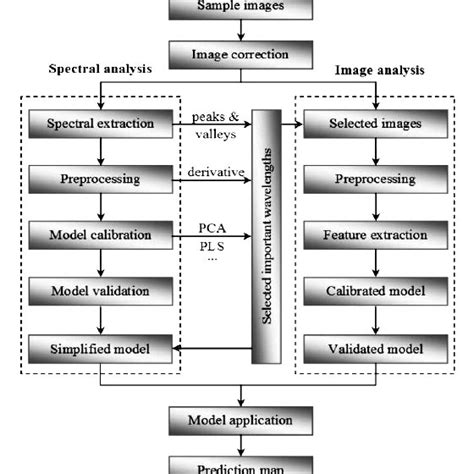 Flowchart Of Hyperspectral Imaging Processing Download Scientific
