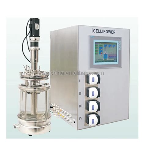 Microcarrier Cell Culture Bioreactor Automatic Laboratory Glass Fermenter Bioreactor With Plc