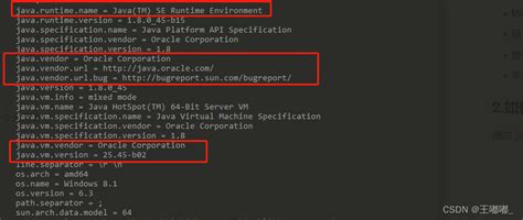 JDK如何判断自己是什么公司的 查看jdk厂商 CSDN博客