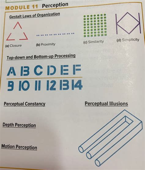 Module 11 Perceptual Organization Constructing Our View Of The World