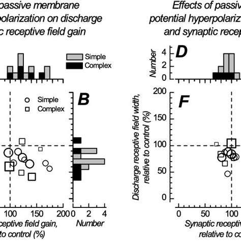 Effects Of Hyperpolarization Of The Membrane Potential On The Discharge Download Scientific