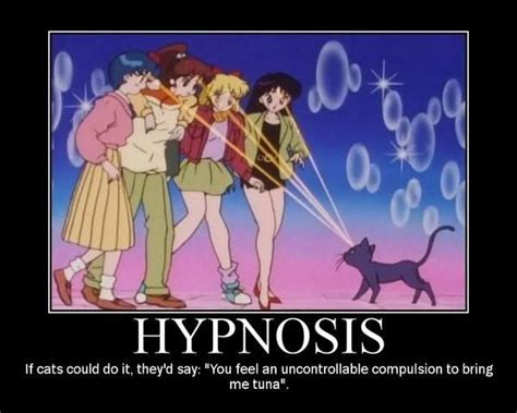 Hypnosis Sailor Moon Funny Sailor Moon Meme Sailor Moon Art