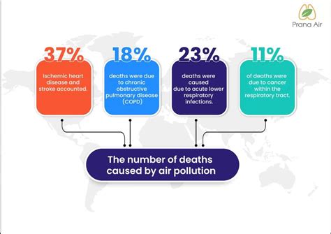 What Are The Statistics Of Pollution At Martha Ehrlich Blog