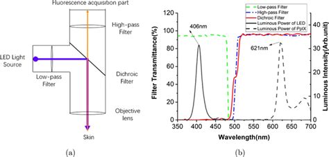 A The Principle Diagram Of The Miniaturized Fluorescence Imaging