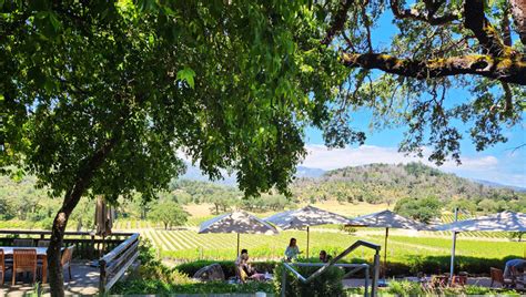 와인年華 나파밸리 와이너리 투어를 다녀왔습니다