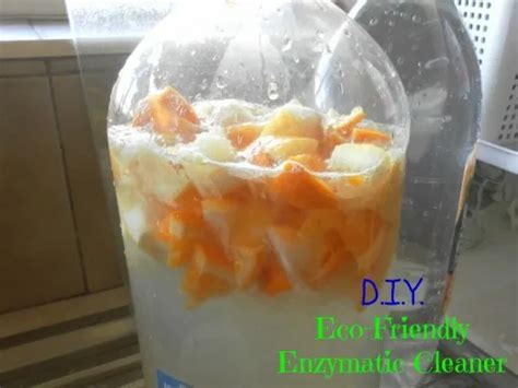 How To Make Eco Friendly Enzymatic Cleaner And Citrus Insect Spray