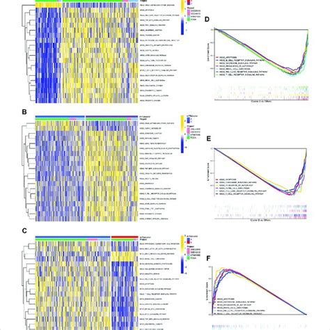 Enrichment Analysis Among Different Subtypes A Pathway Enrichment