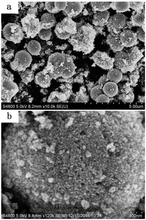 Polyaniline Modified Mesoporous Monocrystal Titanium Dioxide Microspheres And Preparation Method