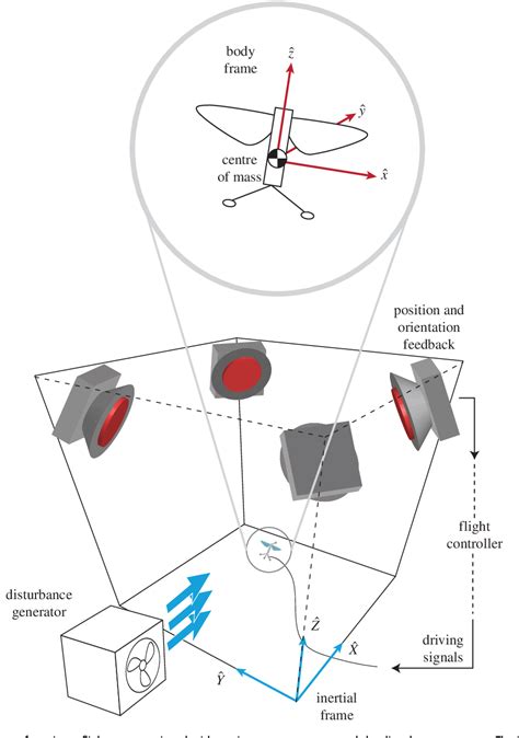 Figure 1 From Dynamics And Flight Control Of A Flapping Wing Robotic