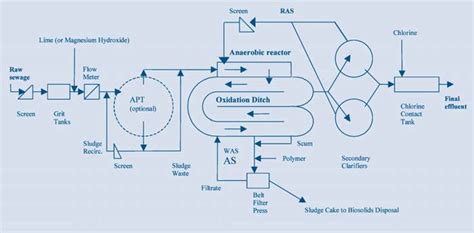 Conceptual Process Flow Diagram For Stps Incorporating Oxidation Ditch