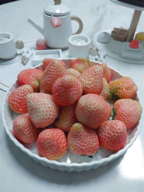 핑크핑크 신데렐라딸기는 파머스프룻 만년설딸기 강추 네이버 블로그