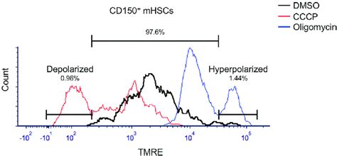 Validation Of The Specificity And Responsiveness Of Tmre Staining To