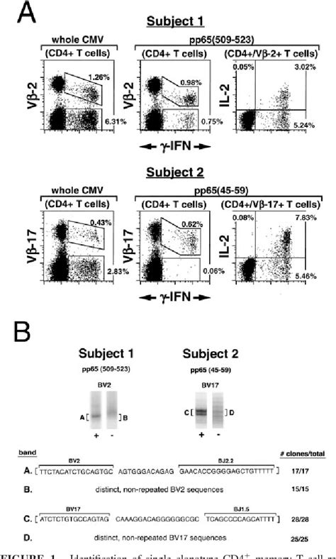 Figure From The Single Clonotype Level Memory T Cell Activation Requirements At Direct Ex
