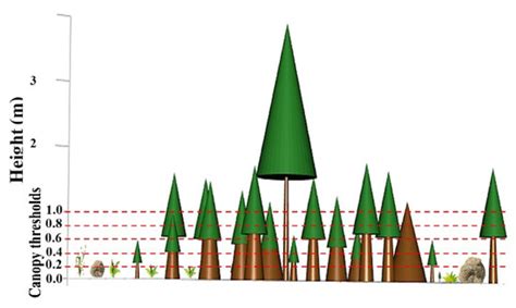 Remote Sensing Special Issue Lidar Remote Sensing Of Forest Structure Biomass And Dynamics