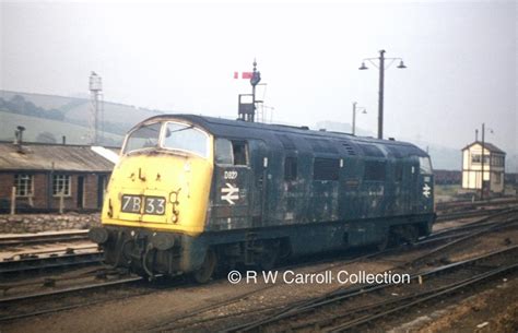 D822_Exeter | Class 42 Warship D822 Hercules at Exeter. | robertcwp ...