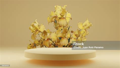 기하학적 형태의 추상적 최소 장면입니다 꽃과 색상 배경에 연단 제품 프리젠 테이션 모형 화장품 디스플레이 연단 무대 주각 또는 플랫폼 3d 렌더링 강단에 대한 스톡 사진 및