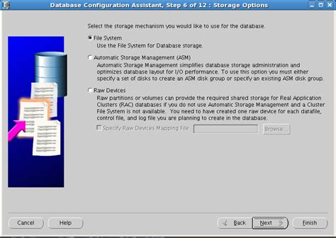 Installing Oracle 10g On Red Hat Enterprise Linux Sysdba