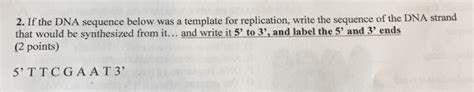 Solved If The DNA Sequence Below Was A Template For Chegg Com