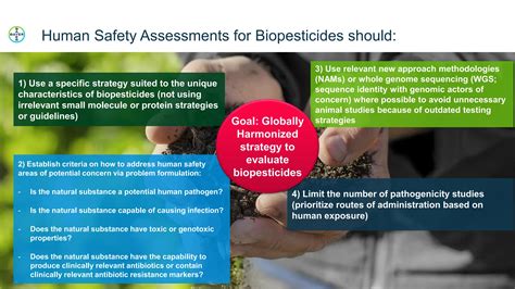 Considerations For Problem Formulation For Human Health Safety Assessments Of Biopesticides