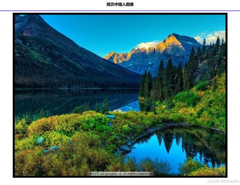 Css图像属性css Img Csdn博客 Css图像属性css Img Csdn博客