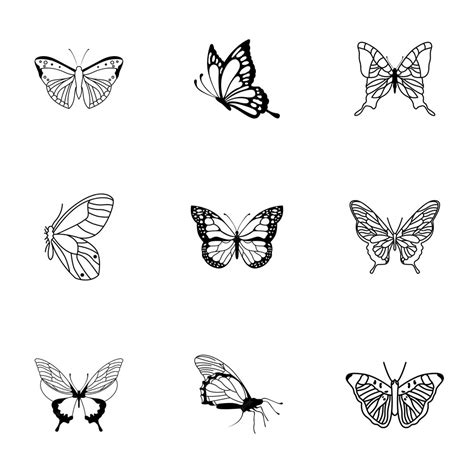 Premium Vector Butterfly Vector Set Simple Butterfly Shape