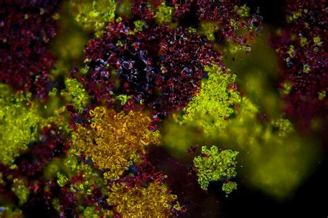 Selective Separation Could Help Alleviate Critical Metals Shortage