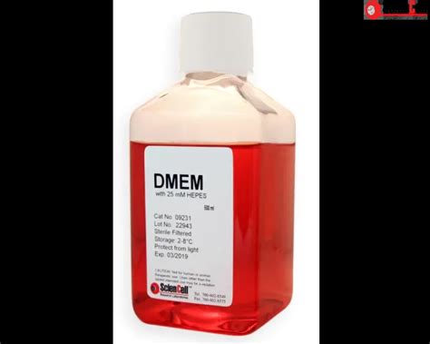 DMEM With L Glutamine Sodium Pyruvate And HEPES DMEM