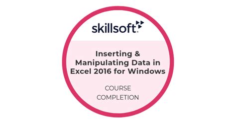 sara rodrigues on linkedin inserting and manipulating data in excel 2016