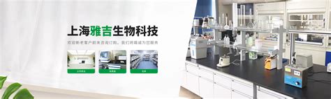 B16 Fo小鼠黑色素瘤细胞如何培养 上海雅吉生物科技有限公司