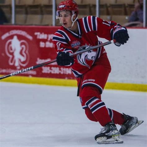 Daniel Ellingson Stats Contract Salary And More