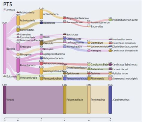 oxford nanopore reads analysis