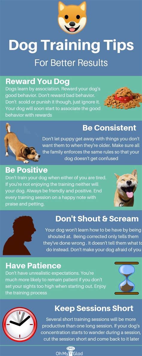 How Much Do Dog Psychologists Earn