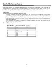 Lab Nervous System Sydney Puntillo Docx Lab The Nervous System This Activity Requires
