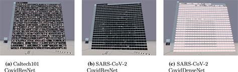 Third Training Strategy Activations Of The Last Convolutional Layer