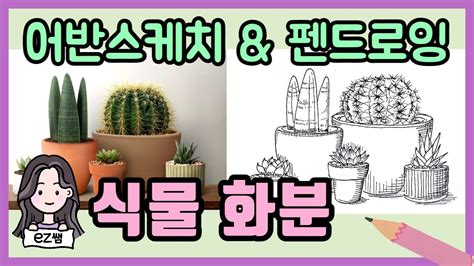 어반스케치and펜드로잉 식물 화분 그리기 보태니컬 아트 감성 드로잉식물 드로잉 Youtube