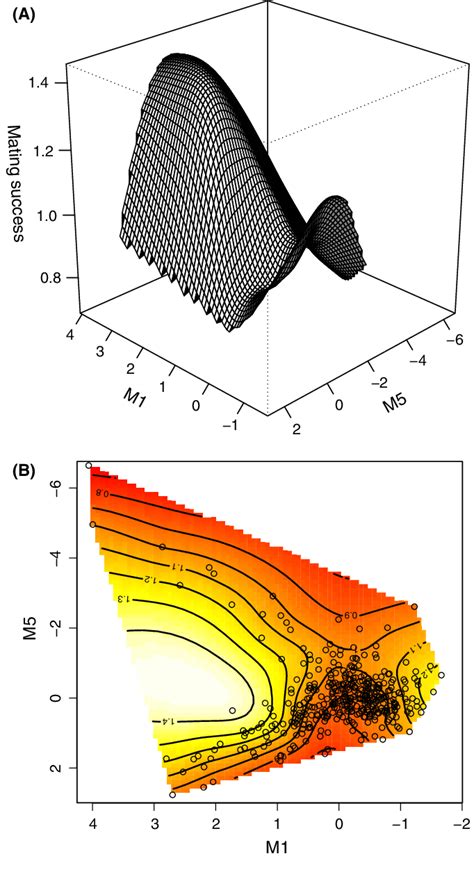 Thin Plate Spline A Perspective View And B Contour Map