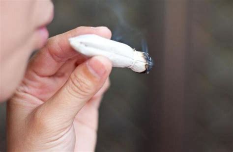 Что будет с человеком если он покурит чайный пакетик как обычную сигарету ТАБАЧНАЯ КУЛЬТУРА